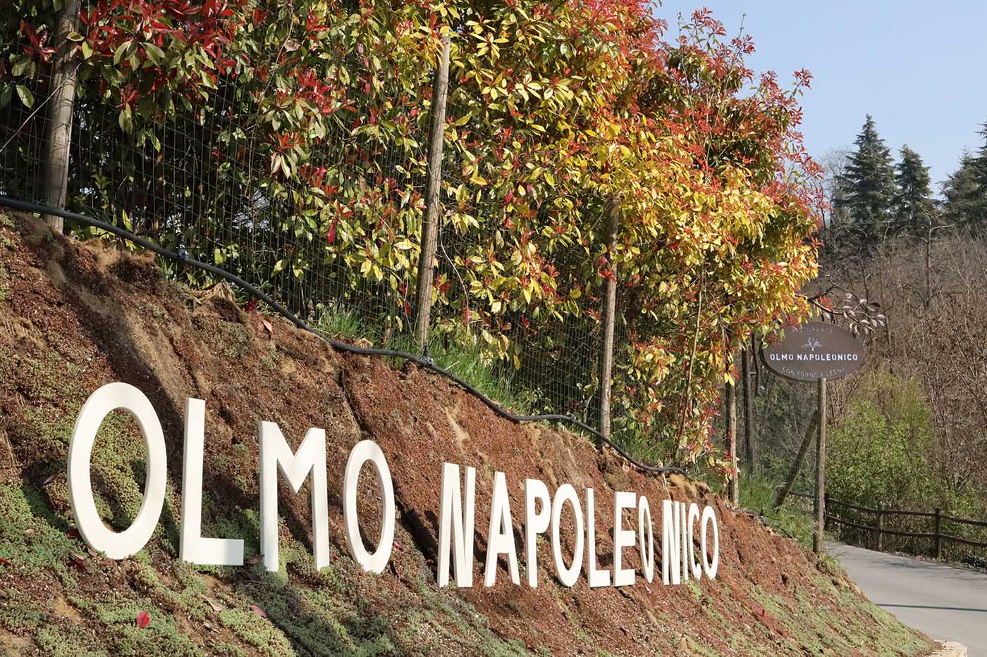 Il nuovo sito dell’Olmo Napoleonico è online – Olmo Napoleonico